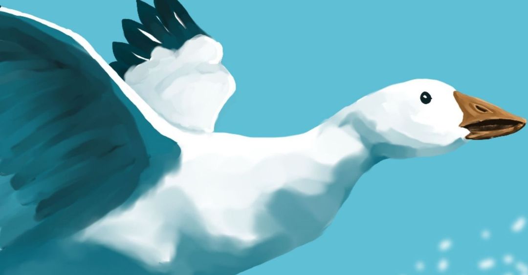 Home | Beaverhill Bird Observatory